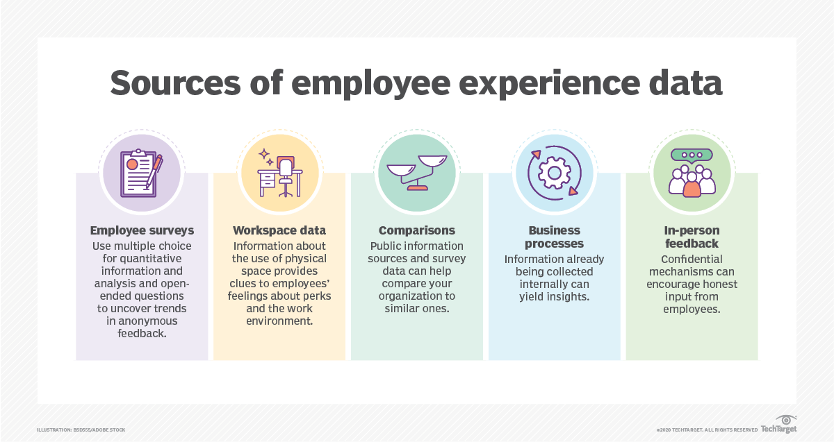 What Is the Employee Lifecycle? | Definition from TechTarget