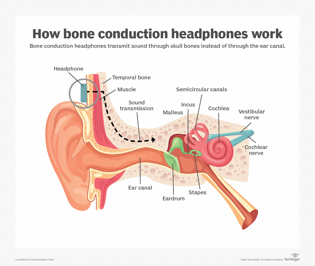 What are Bone Conduction Headphones and How Do They Work?
