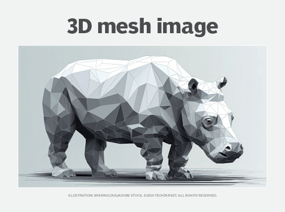 What is 3D mesh? | Definition from TechTarget