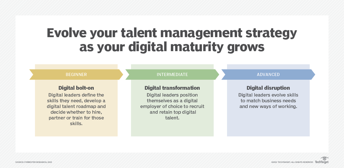 The Importance of Digital Culture in Digital Transformation