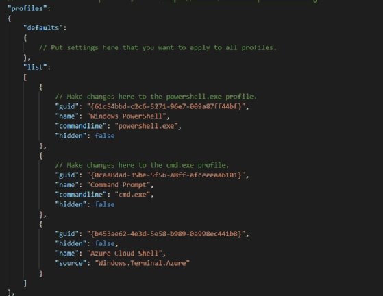 What admins should know about Microsoft Windows Terminal | TechTarget