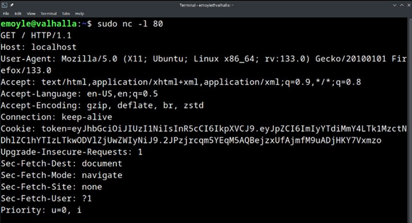 How to use Netcat: Commands and use cases | TechTarget