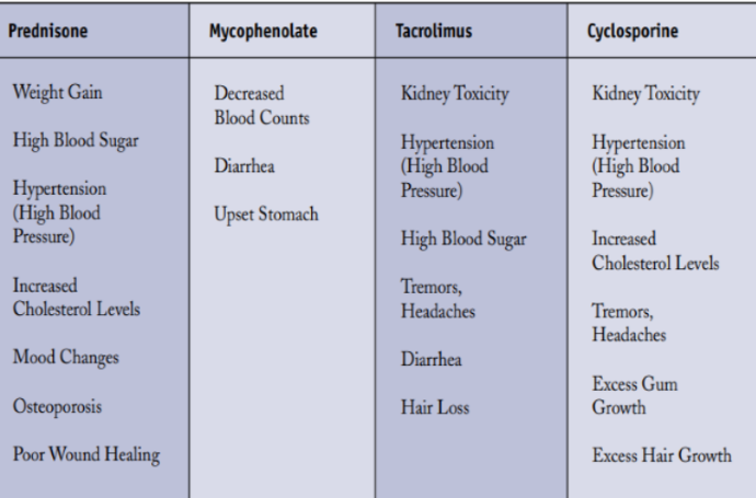 How Antirejection Drugs Can Promote Successful Transplants | TechTarget